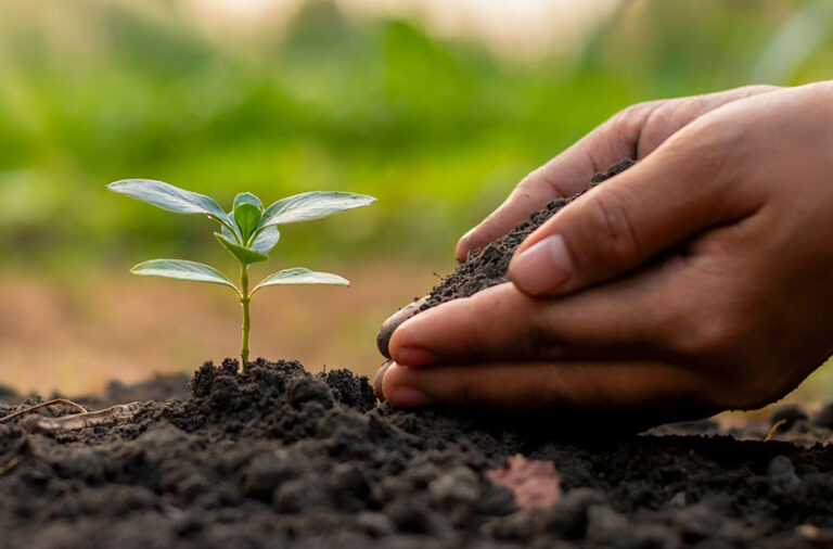 Data Sheets | Bremick