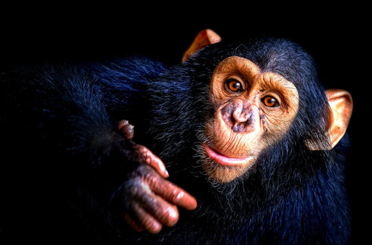 Contact Us | Bremick