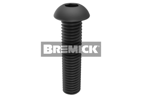 SOCKET SCREWS | Bremick